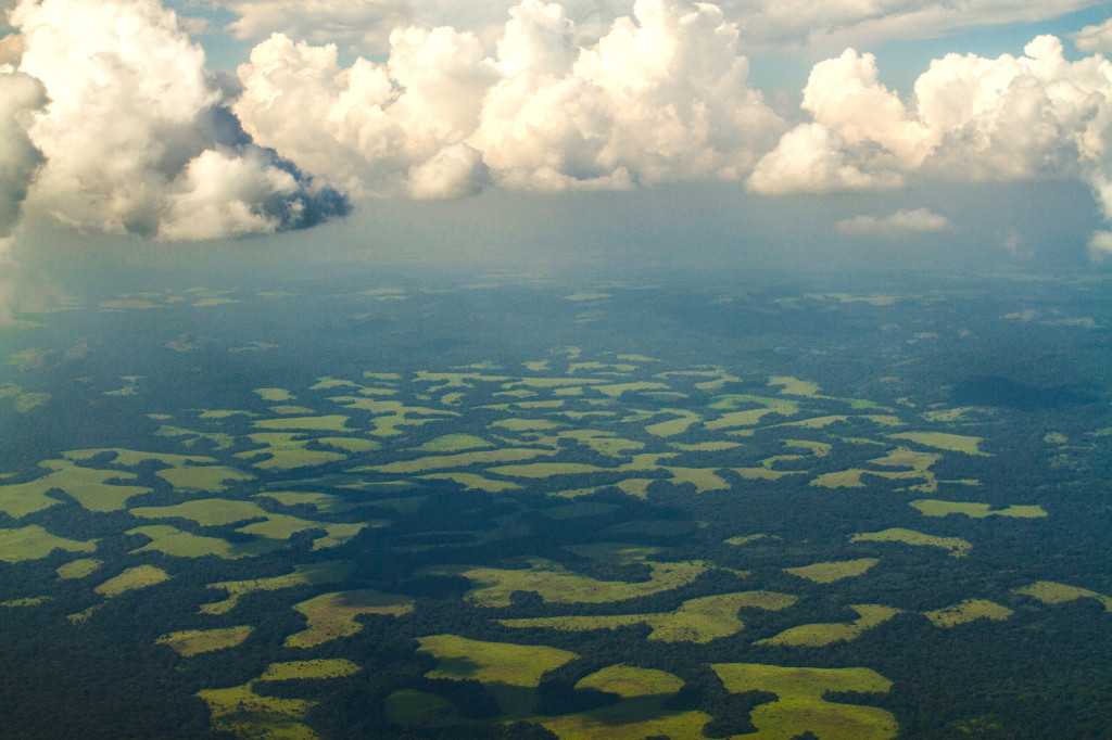 Engaging Local Communities in Conservation