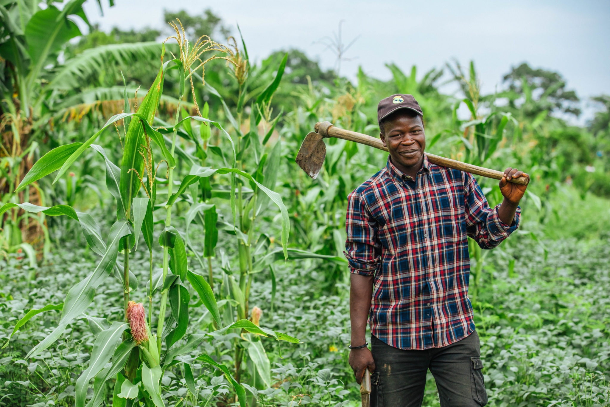 Environmentally-friendly Livelihood Development as Peacebuilding